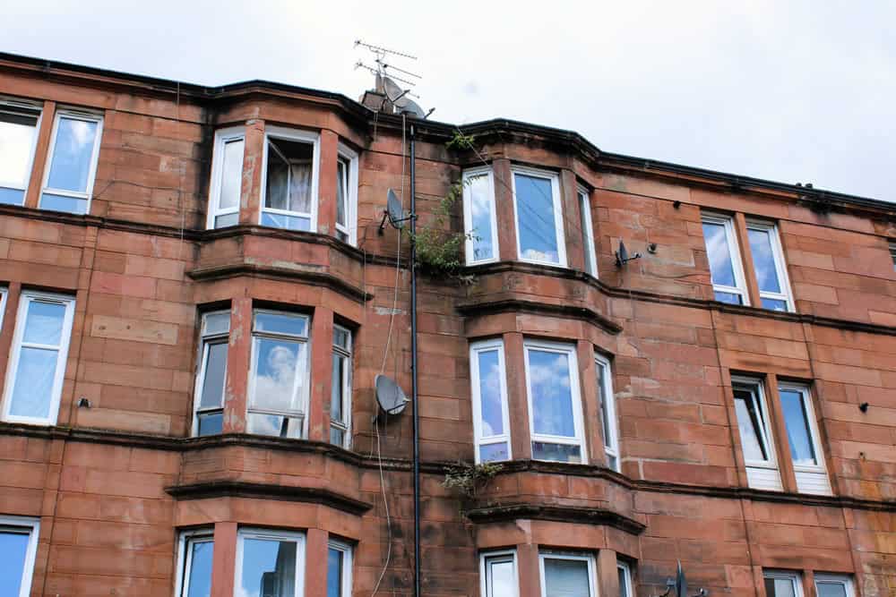 Protecting Your Property: The Impact of Plant Growth on Buildings and ...